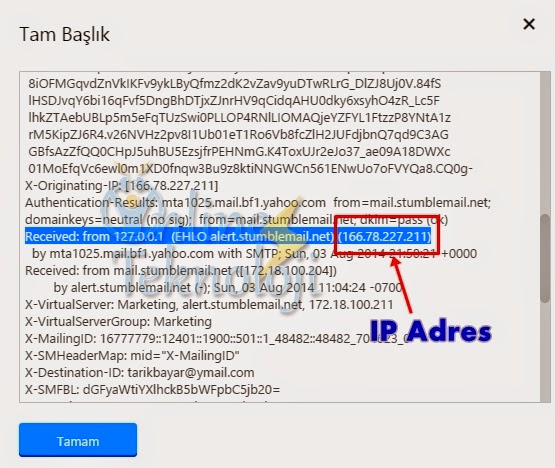 E-Posta'dan IP Adresi Nasıl Bulunur? | Teknoloji Blog'u