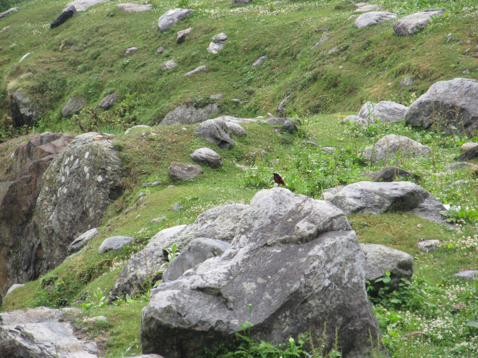 Expressing Myself: Hampta part 4 - Balu ka Ghera to Jobra