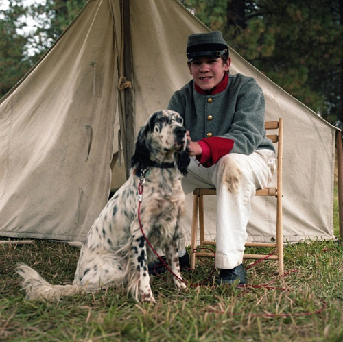 historia i ja: The Civil War & dogs