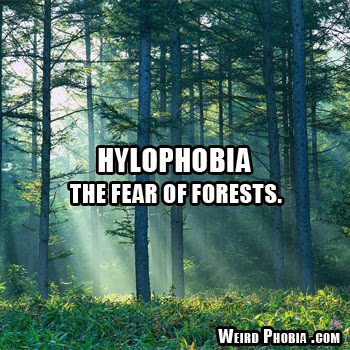 Collections: November 2013