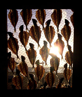 Sowing the Seeds: FOODS OF THE FIRST CENTURY — FISH & FOWL