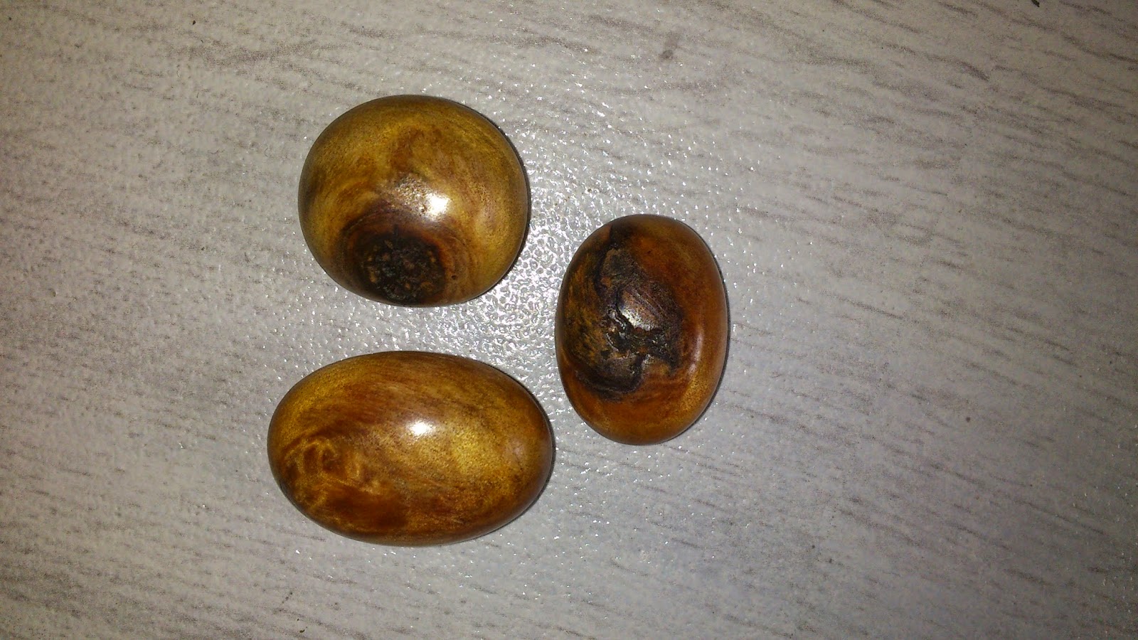 ZAMRUD TECHNOLOGY: Telah bermilik....Permata Raja Kayu Damar Minyak