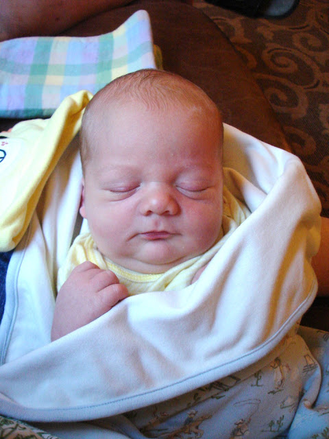 The Feathered Nest ~: One precious week old