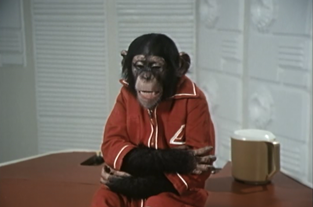 John Kenneth Muir's Reflections on Cult Movies and Classic TV: Saturday ...