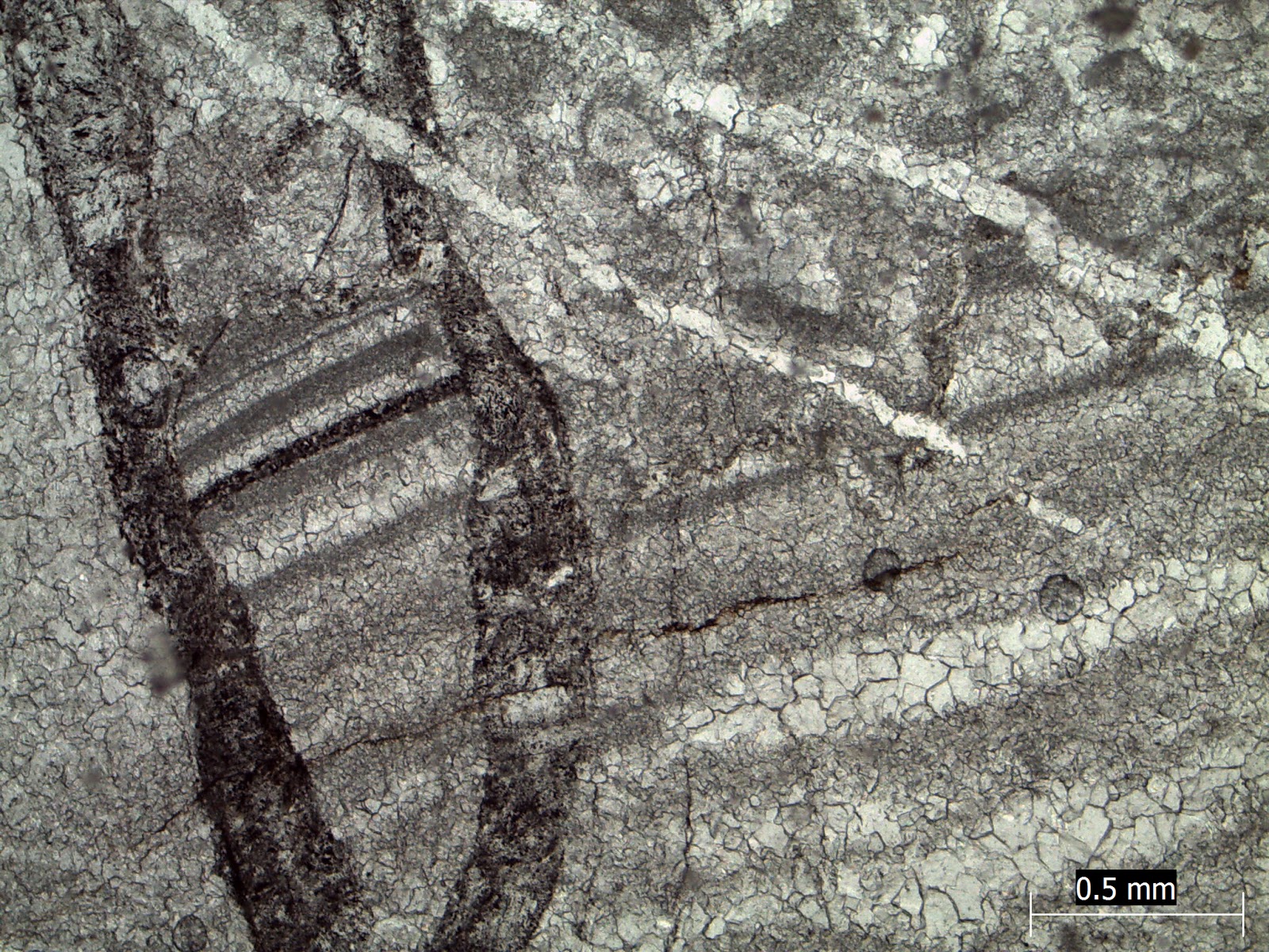 Rapid Uplift: Photomicrograph- Micro Fault Displacing Proterozoic ...