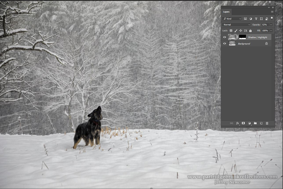 Getting it Right in the Digital Camera : Seeing the Snow with Lightroom ...