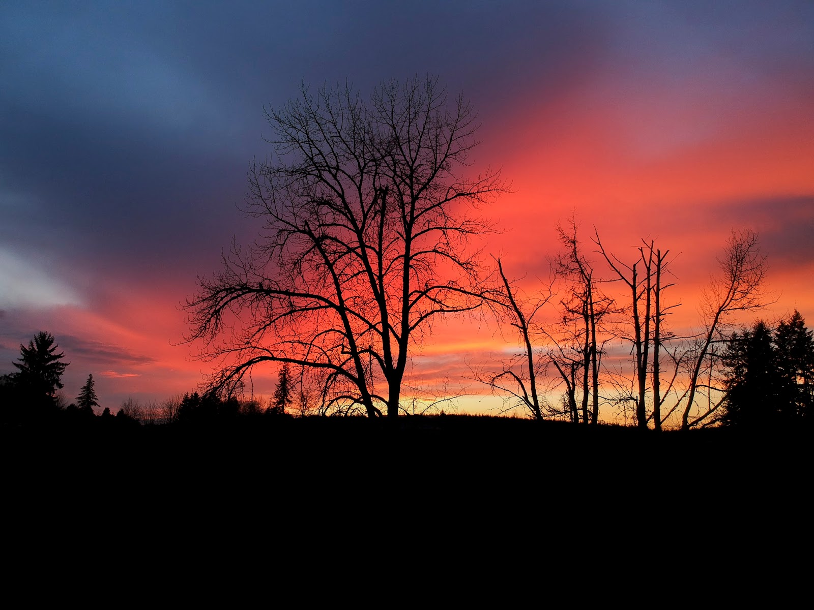 Illuminations from the attic: Sunsets of Early Spring