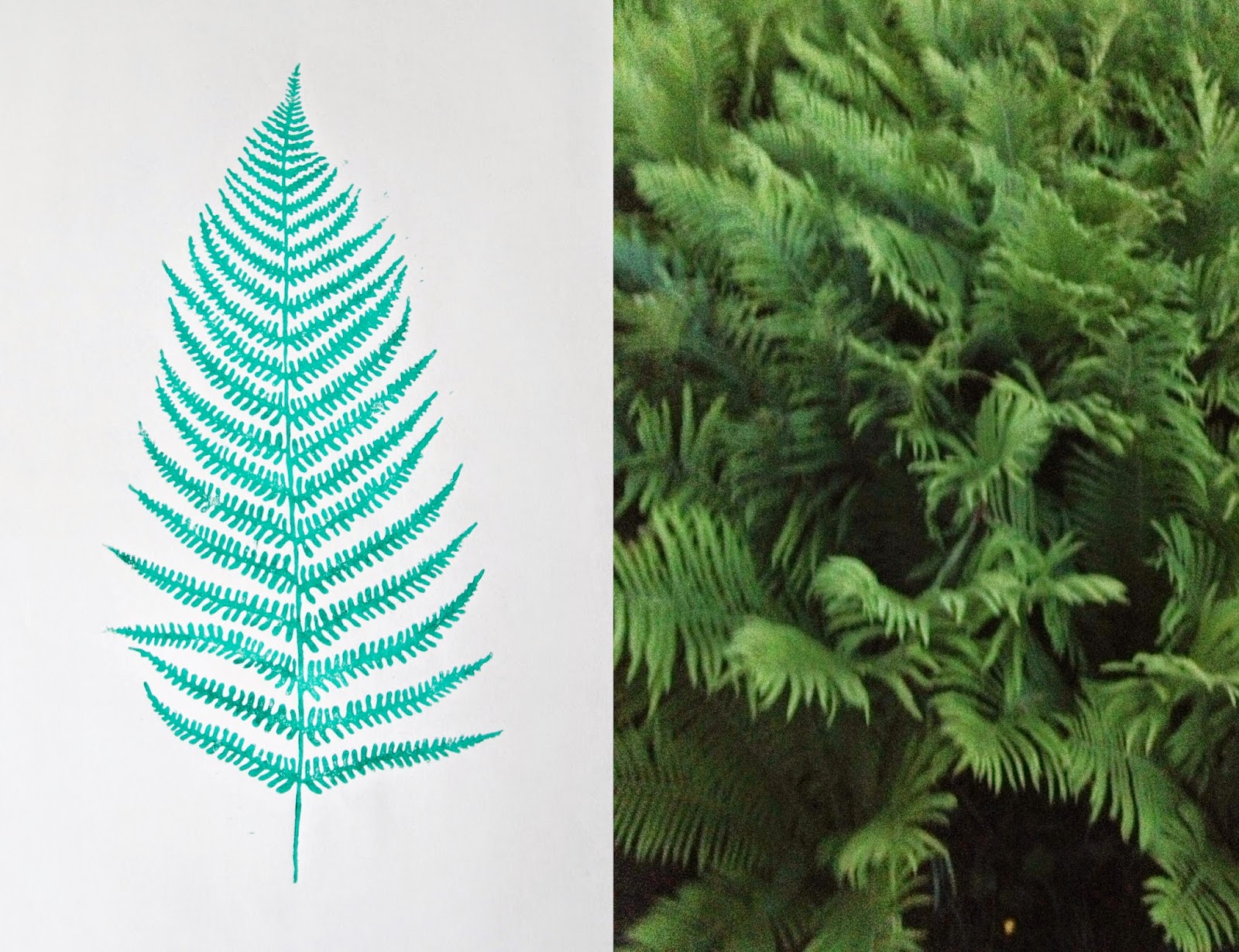 around: FERN LINOCUT PRINT