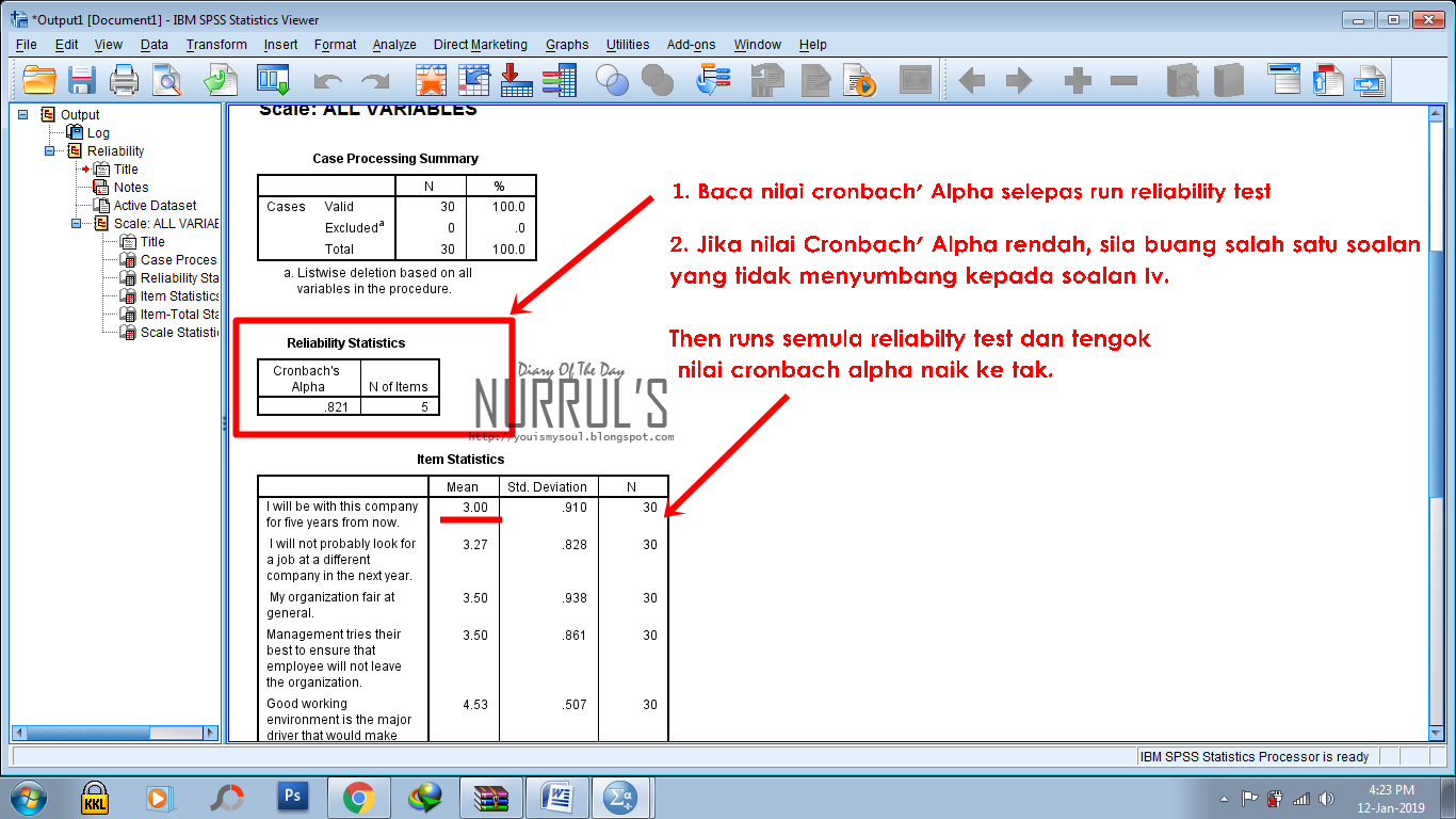 Cara Analysis Report daripada Data SPSS
