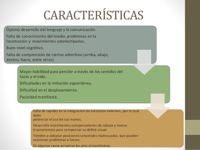 CARACTERÍSTICAS SOBRE LA DISCAPACIDAD SENSORIAL ~ MY MAGIC WORLD CARACTERÍSTICAS SOBRE LA DISCAPACIDAD SENSORIAL ~ MY MAGIC WORLD