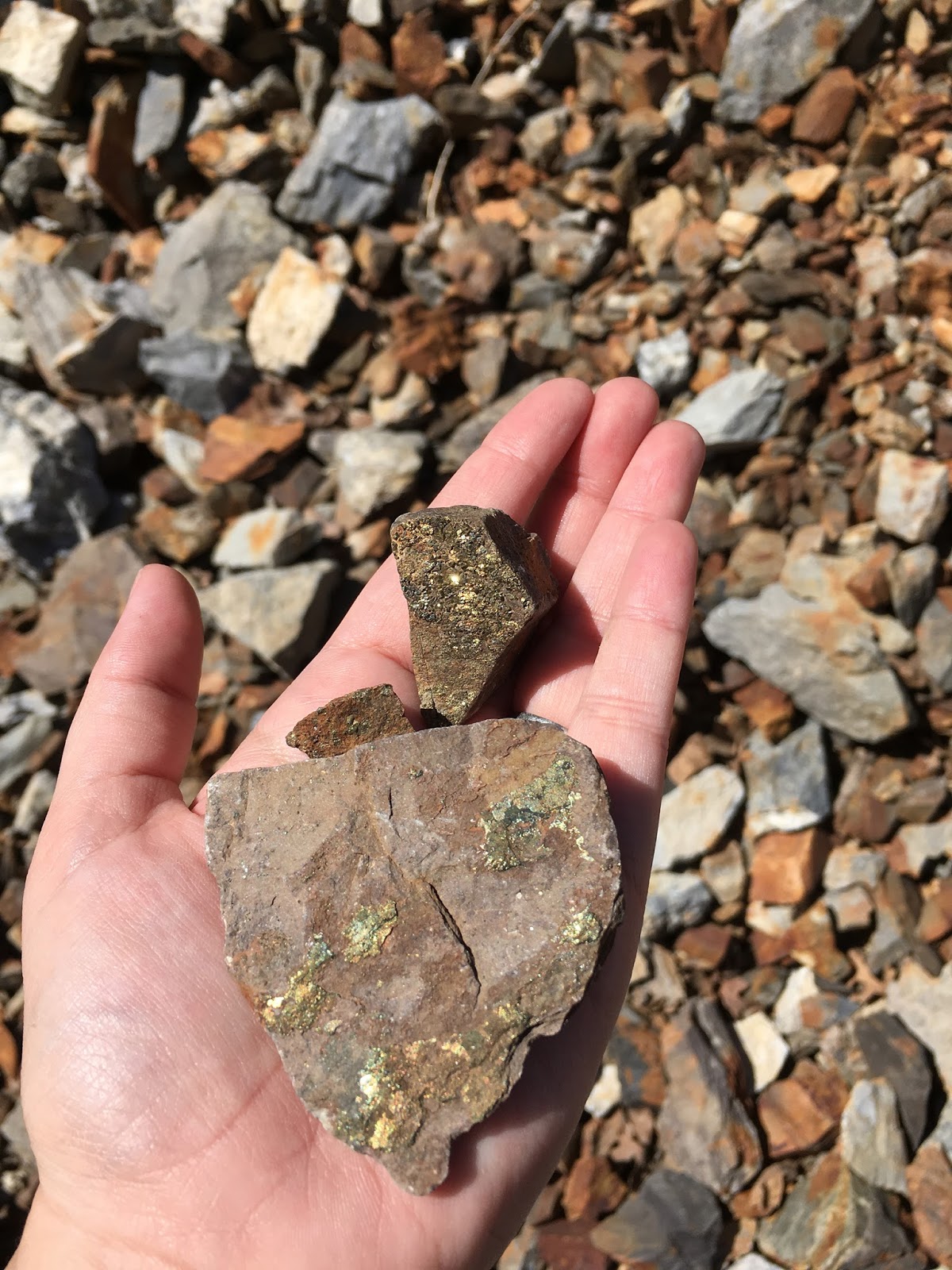 A school of fish: Field trip: echoes and pyrite in Ophir Canyon