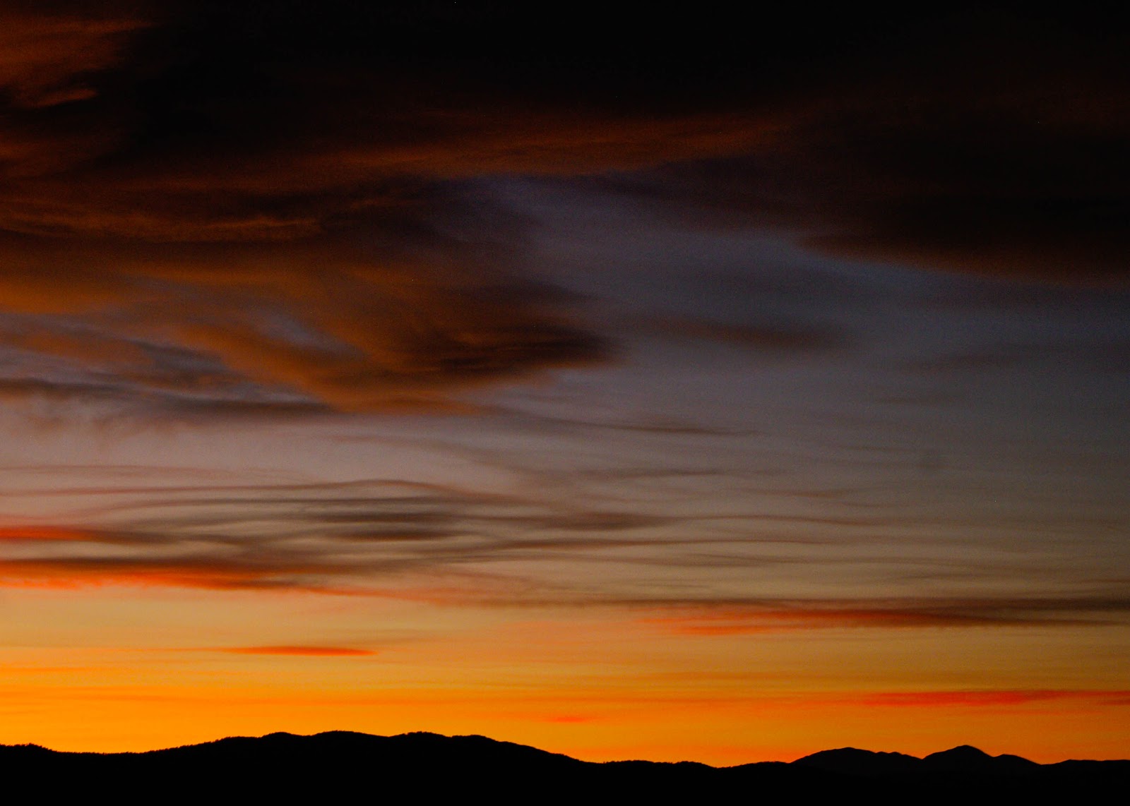 Danny Benzel Nature and Conservation Photography