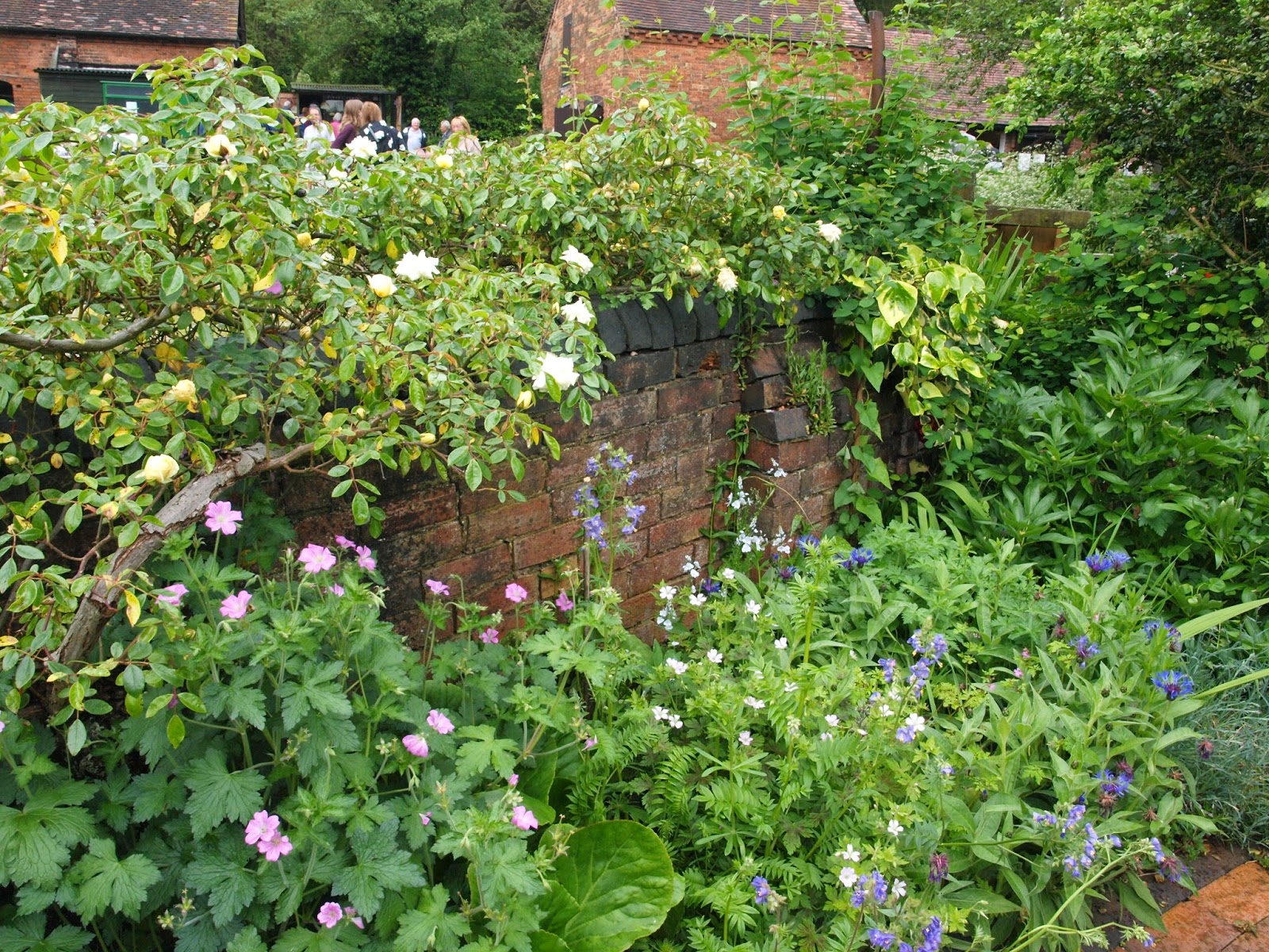 Ragged Robin's Nature Notes: New Hall Mill Open Day