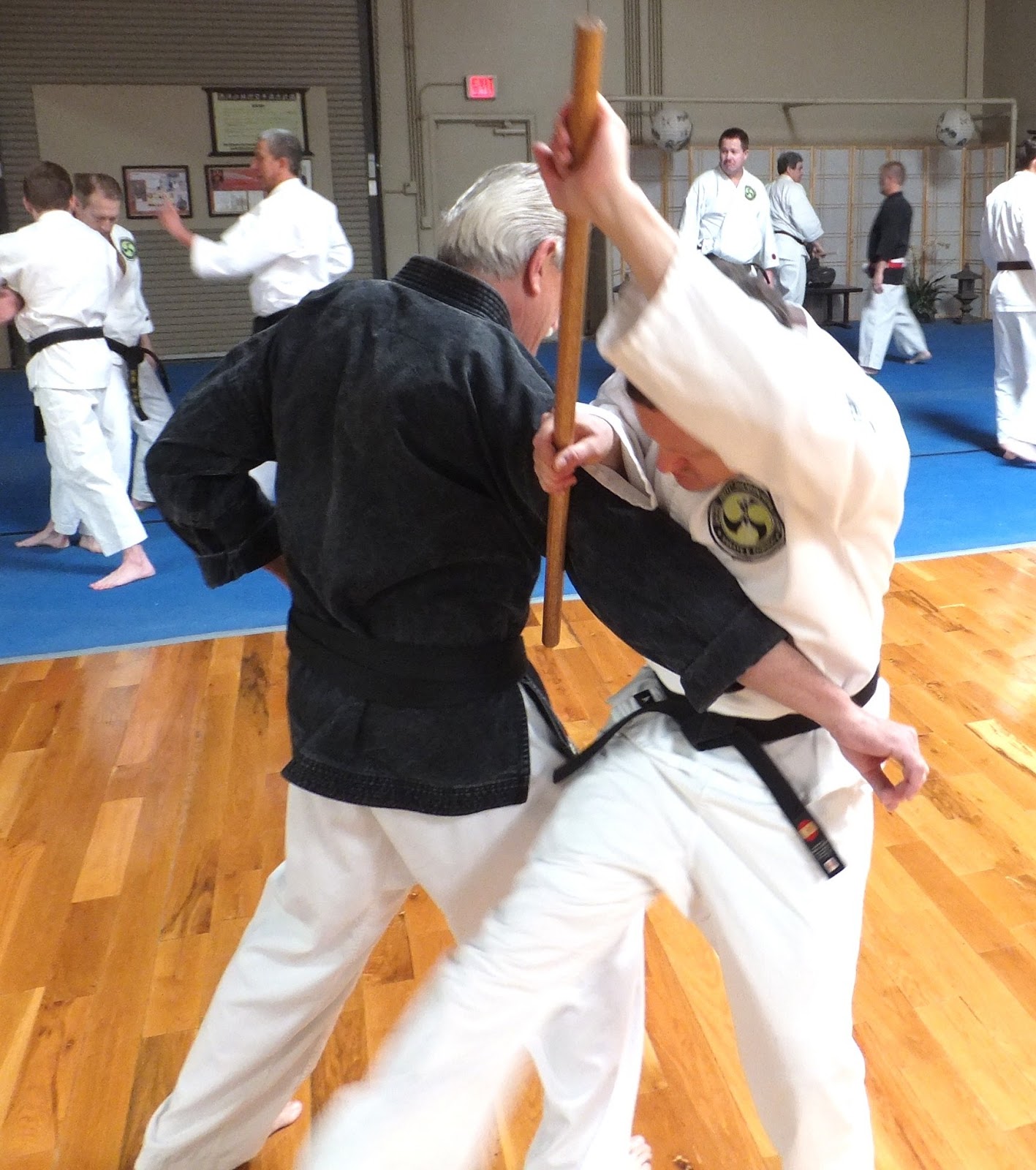 Hanbo - weapon of self-defense