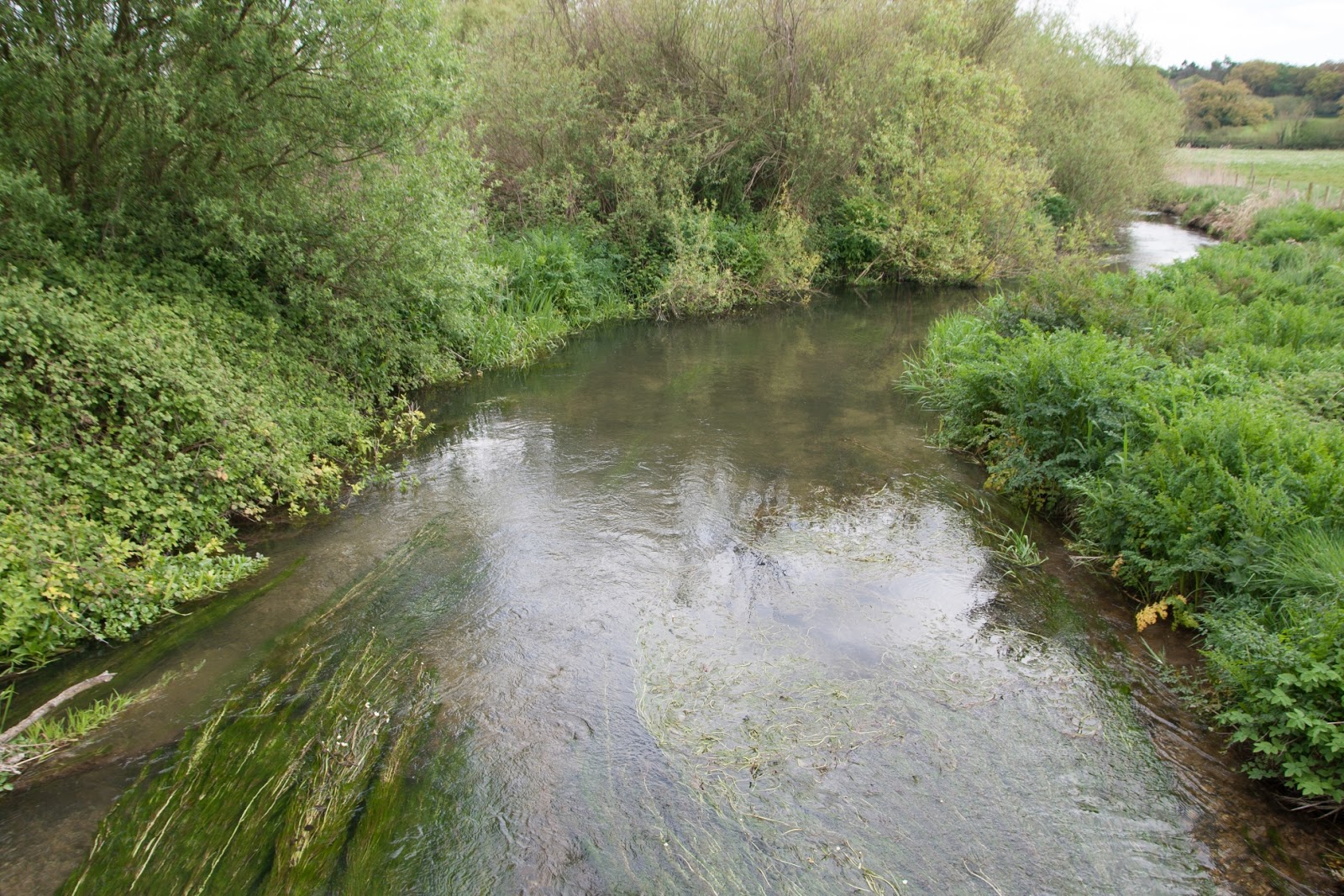 Walking Dorset's gridsquares: May 2017