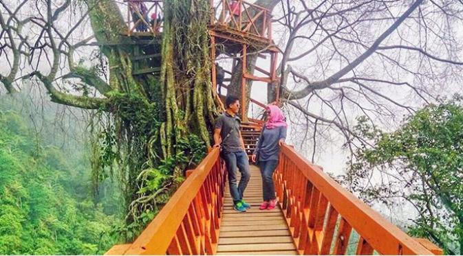 Wisata Alam Bogor: Wana Wisata Curug Ciherang