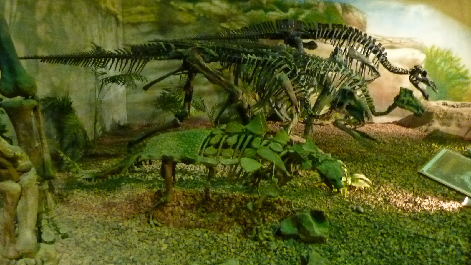 Travels of The Mercury: Yellowstone National Park, Aug. 31 to Sept. 5, 2013