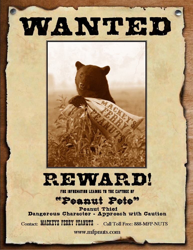 Who, what, where, when, why?: October 2011