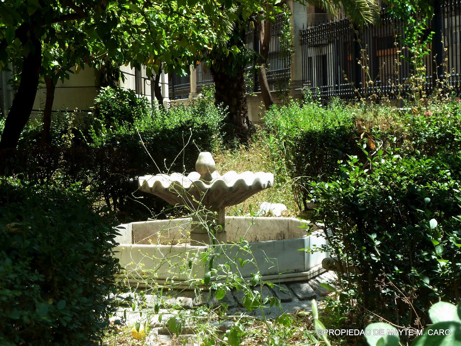 FUENTES EN GRANADA: en el instituto padre suarez