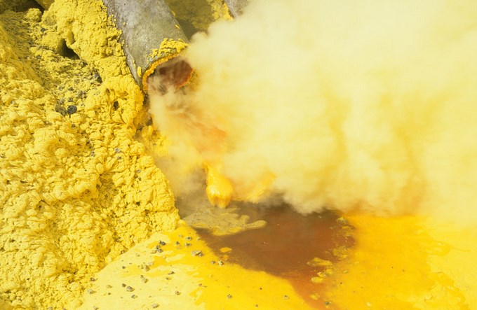 Polychrest Remedies ~ Homeopathy ID