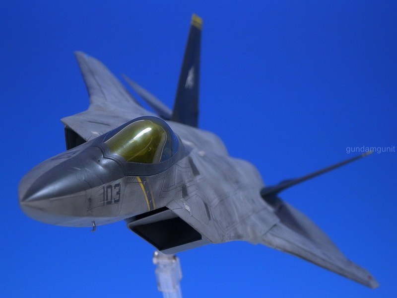 大光明株式會社: 趙振堯’s 1:48 F-22N