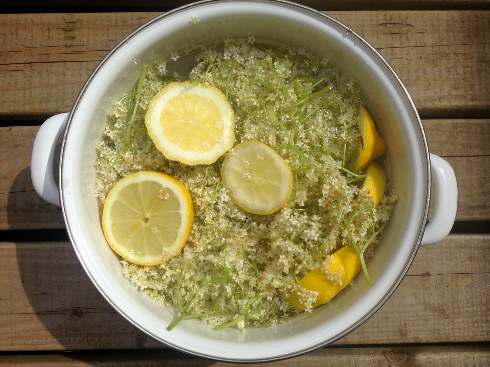The Friendly Nettle: Elderflower Cordial