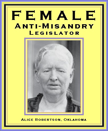 Unknown Gender History: Female Anti-Misandry Legislators, Judges ...