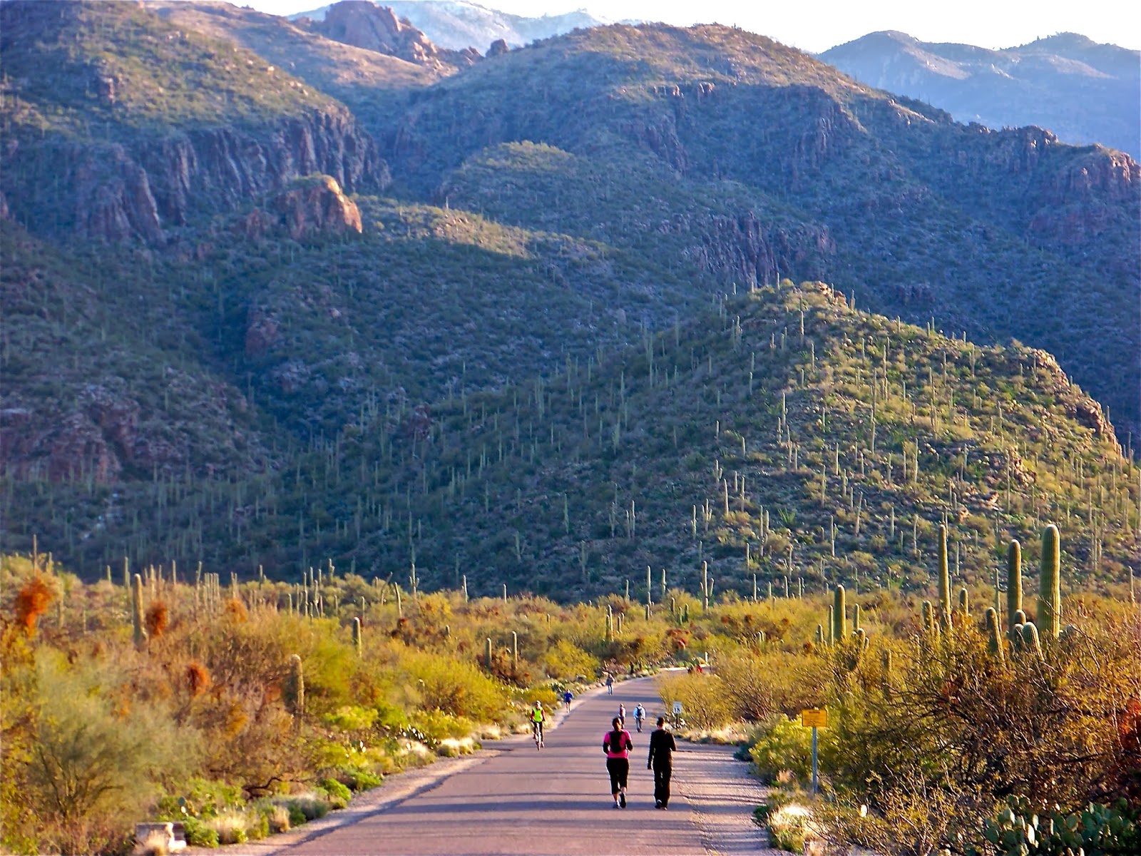 Finding Arizona: Southeastern Arizona Road Trip