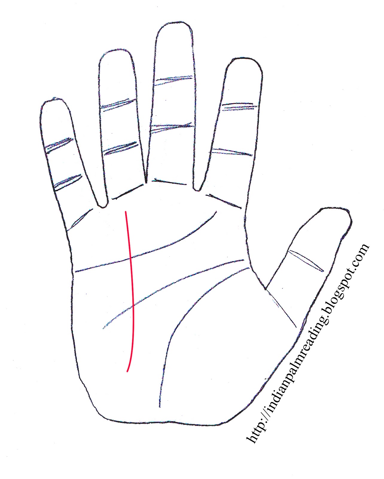 Surya Rekha (Sun Line/Apollo Line) Indian Palmistry ~ INDIAN PALMISTRY ...