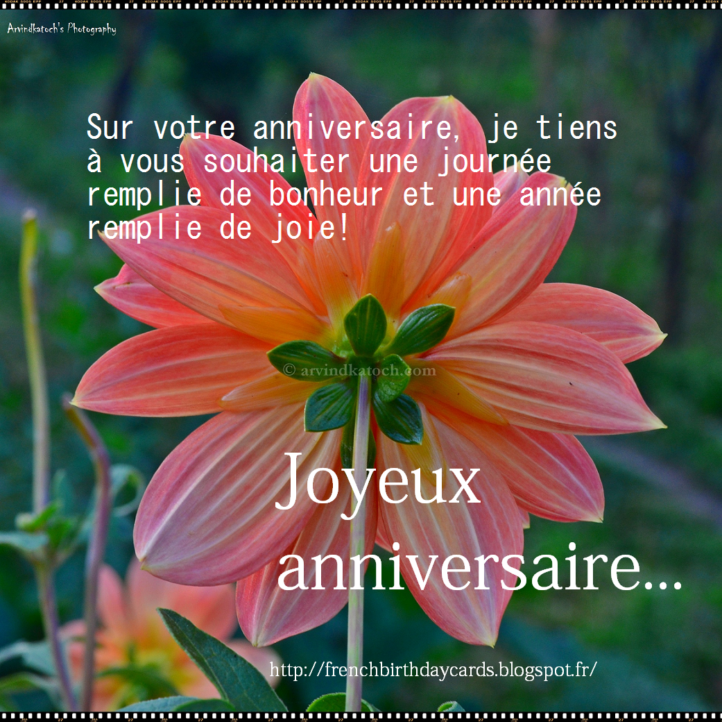 10 Beautiful Birthday Cards in French language (Cartes d'anniversaire ...