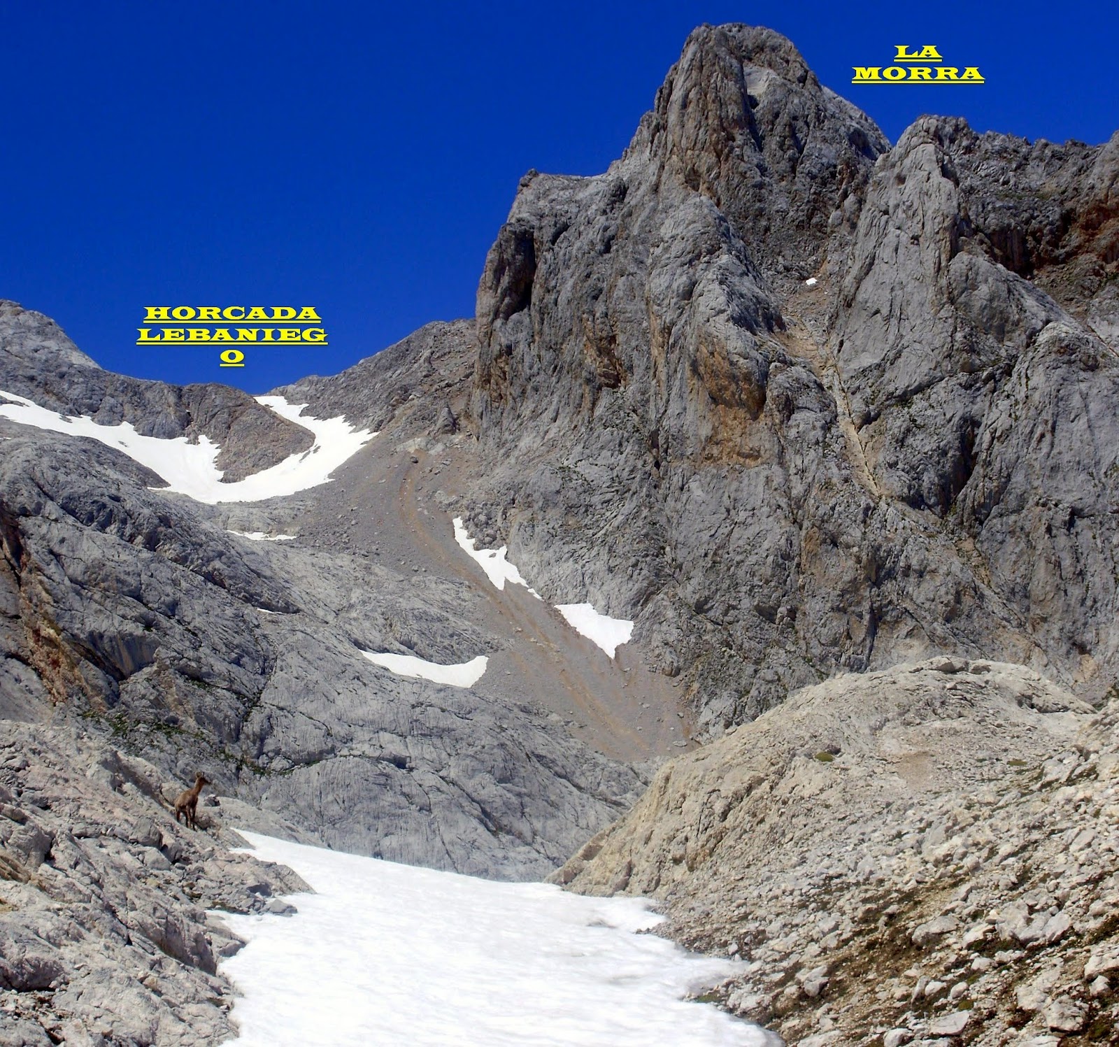 Grupo de montaña Los de las claras: COLLADA BONITA DESDE LA VEGA DE SOTRES