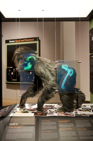 Top 10 interactive museum display ideas and inspiration