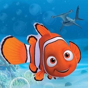 Buscando a nemo en las profundidades de Disney: Los animales de la ...