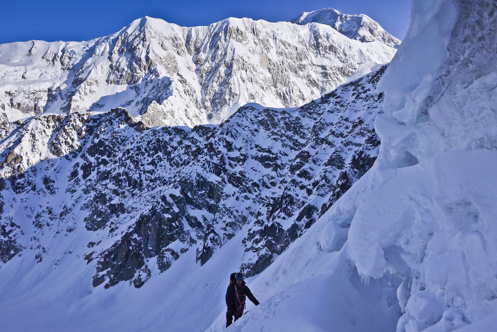Northern Alpine Guides: Big Season in the Alaska Range!