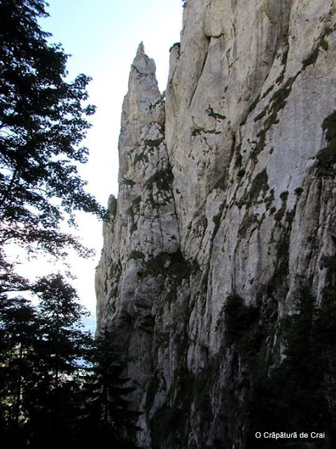 Poveştile mele: Recomandarea lunii - Piatra Craiului: Un fleac, o ...