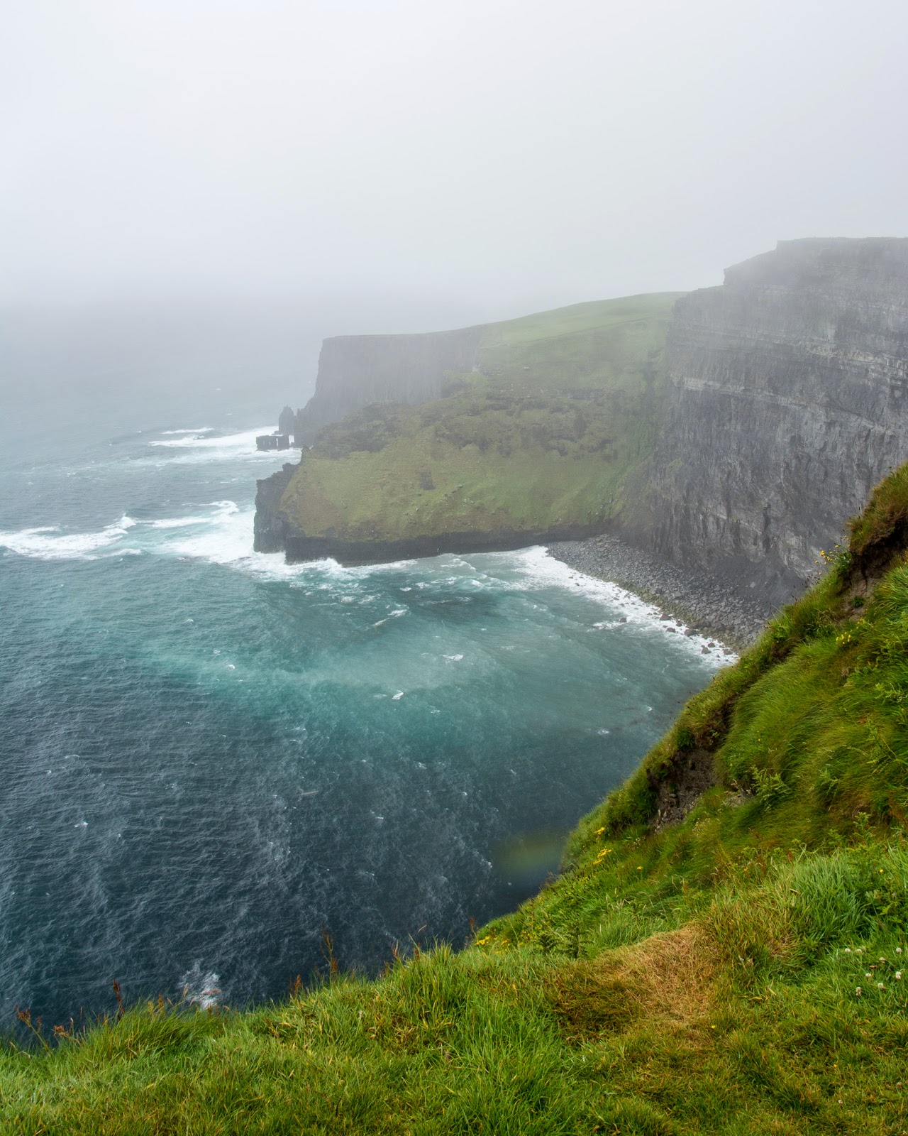 A Tree Falling: Adare, Cliffs of Moher and Rathbaun Farm