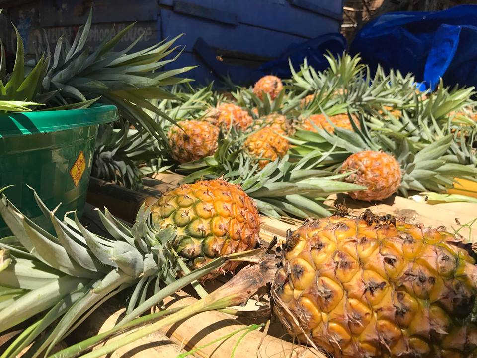 MAISHA NA MAFANIKIO: NYASA NI MAARUFU KWA KILIMO CHA MATUNDA