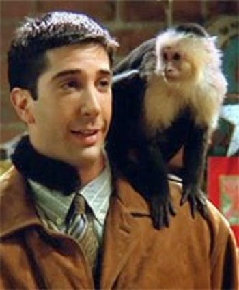 NYSocBoy's Beefcake and Bonding: More Homophobia on "Friends": This ...