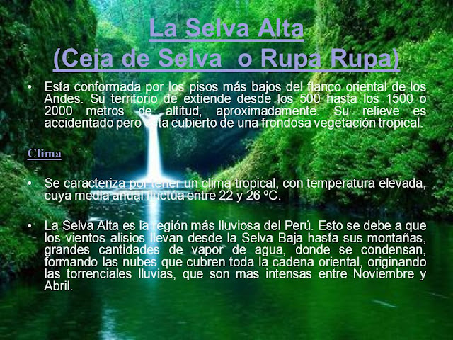 LA REGIÓN NATURAL RUPA RUPA (PERÚ): REGION NATURAL RUPA RUPA O SELVA ...