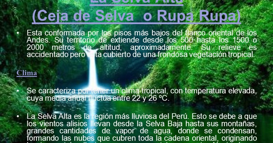 LA REGIÓN NATURAL RUPA RUPA (PERÚ): REGION NATURAL RUPA RUPA O SELVA ...
