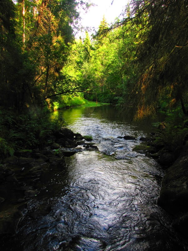 Luolamiehen blogi: Juupajoen raviinirotko, Juupajoki