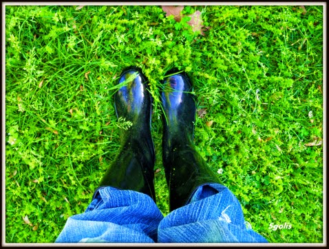 Yard and Garden Secrets: Dressing for a Yard Work – Protective Garden Wear