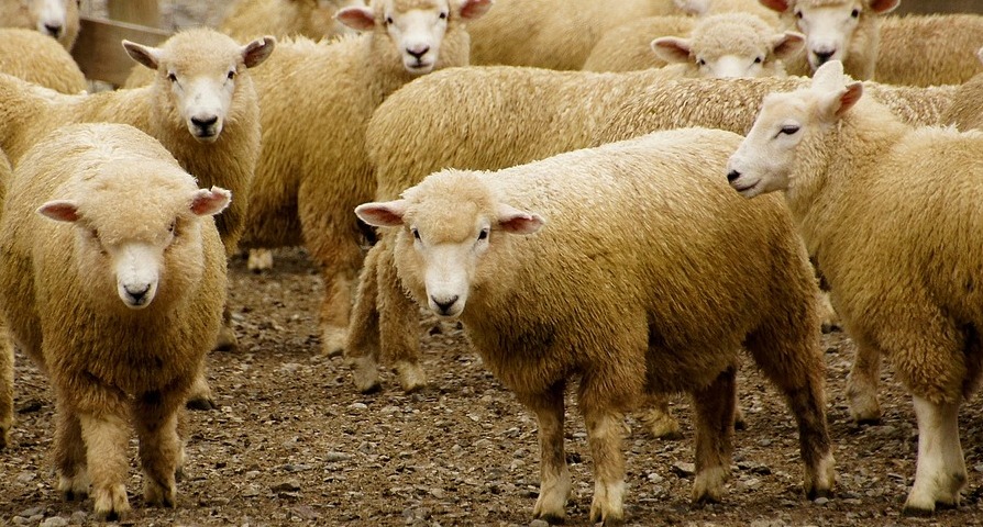 Reflections - Past, Present, and Future with God