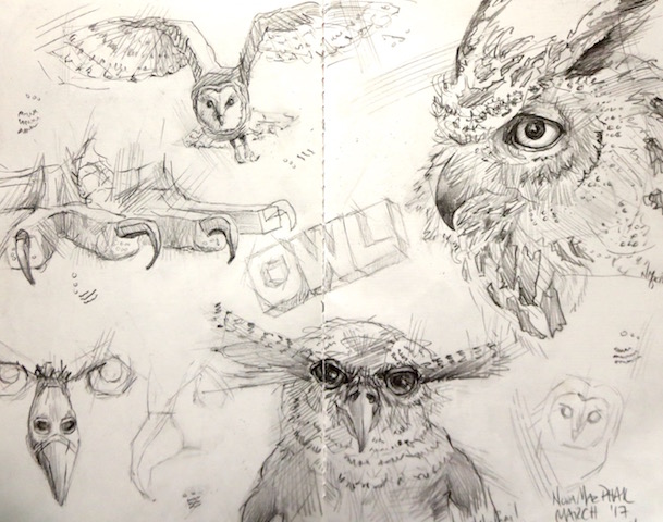 NORA MacPHAIL - ARTIST: Sketchbook - animal pages