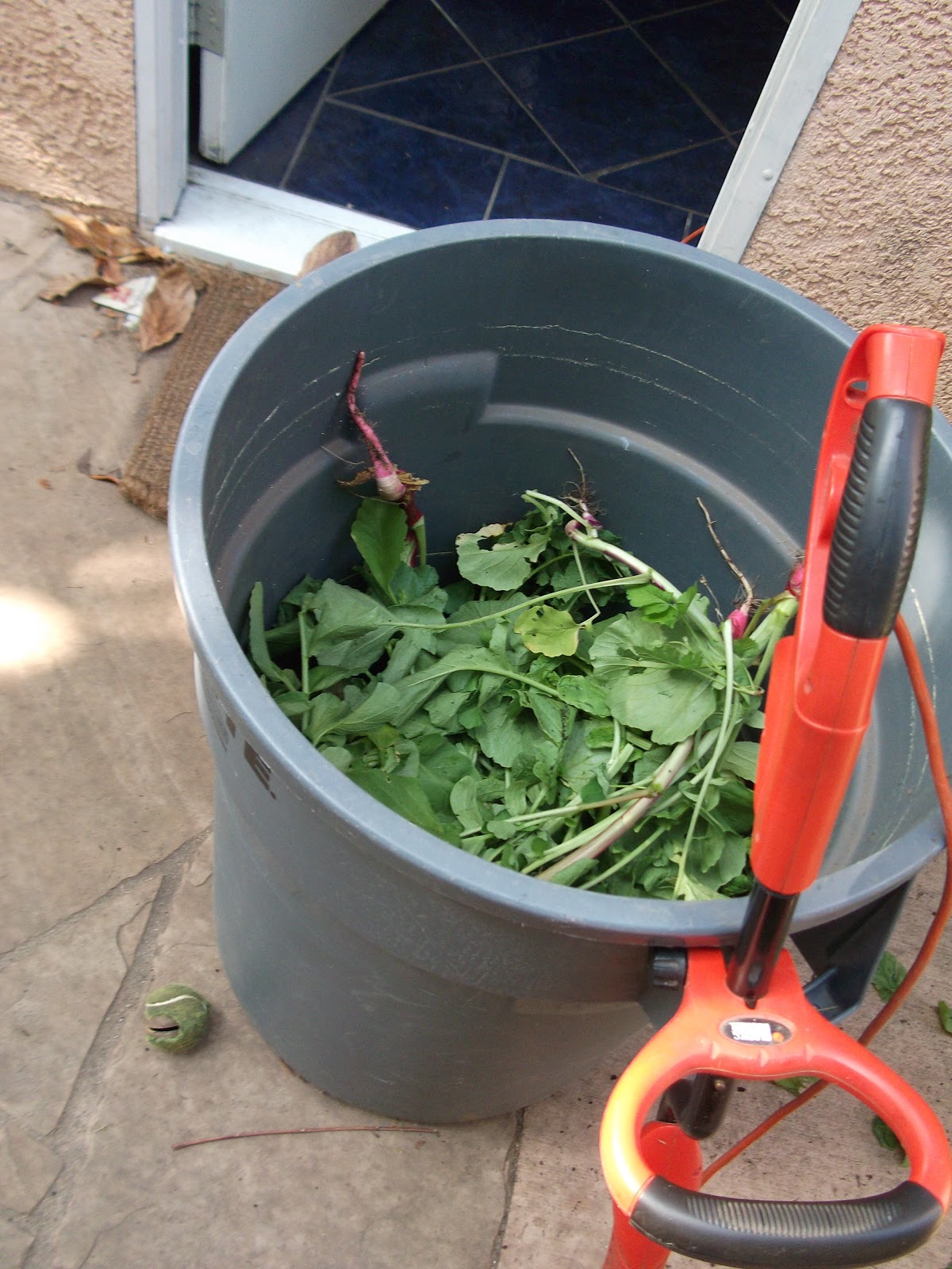 Frugal Garden Girl: Chop, chop