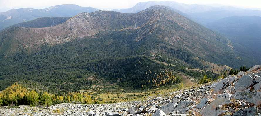 Tall Pines Hiker: Tuchuck Mountain