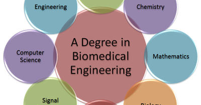 Daily Life: Second major- Biomedical Engineering
