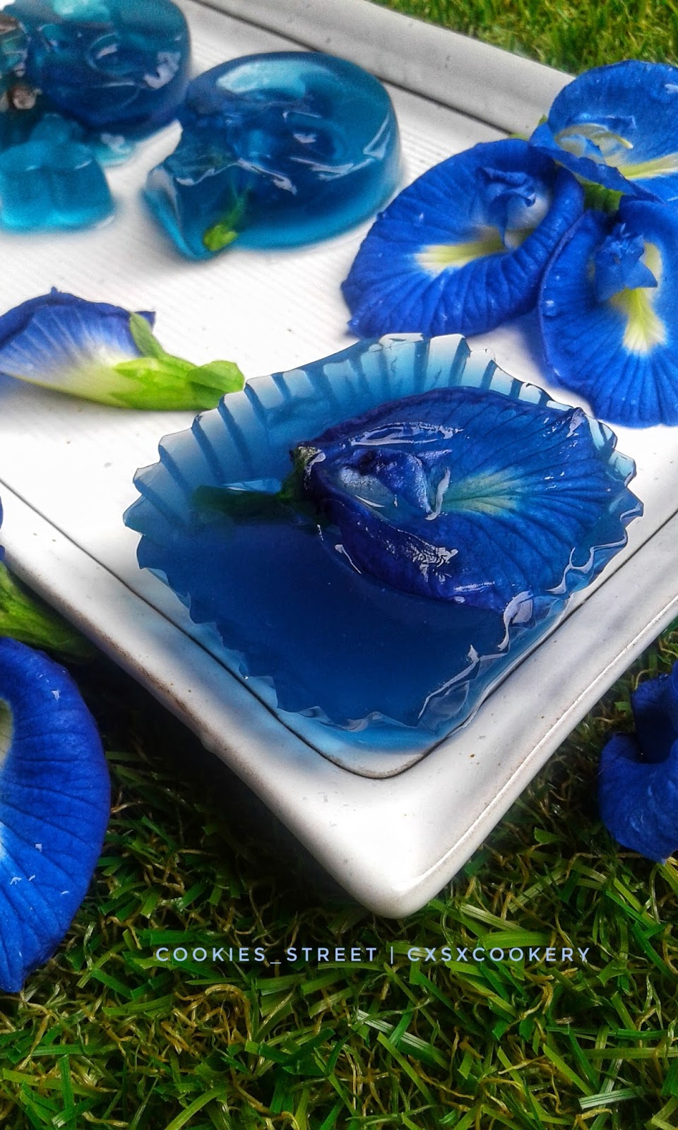 Resipi Agar - agar Bunga Telang