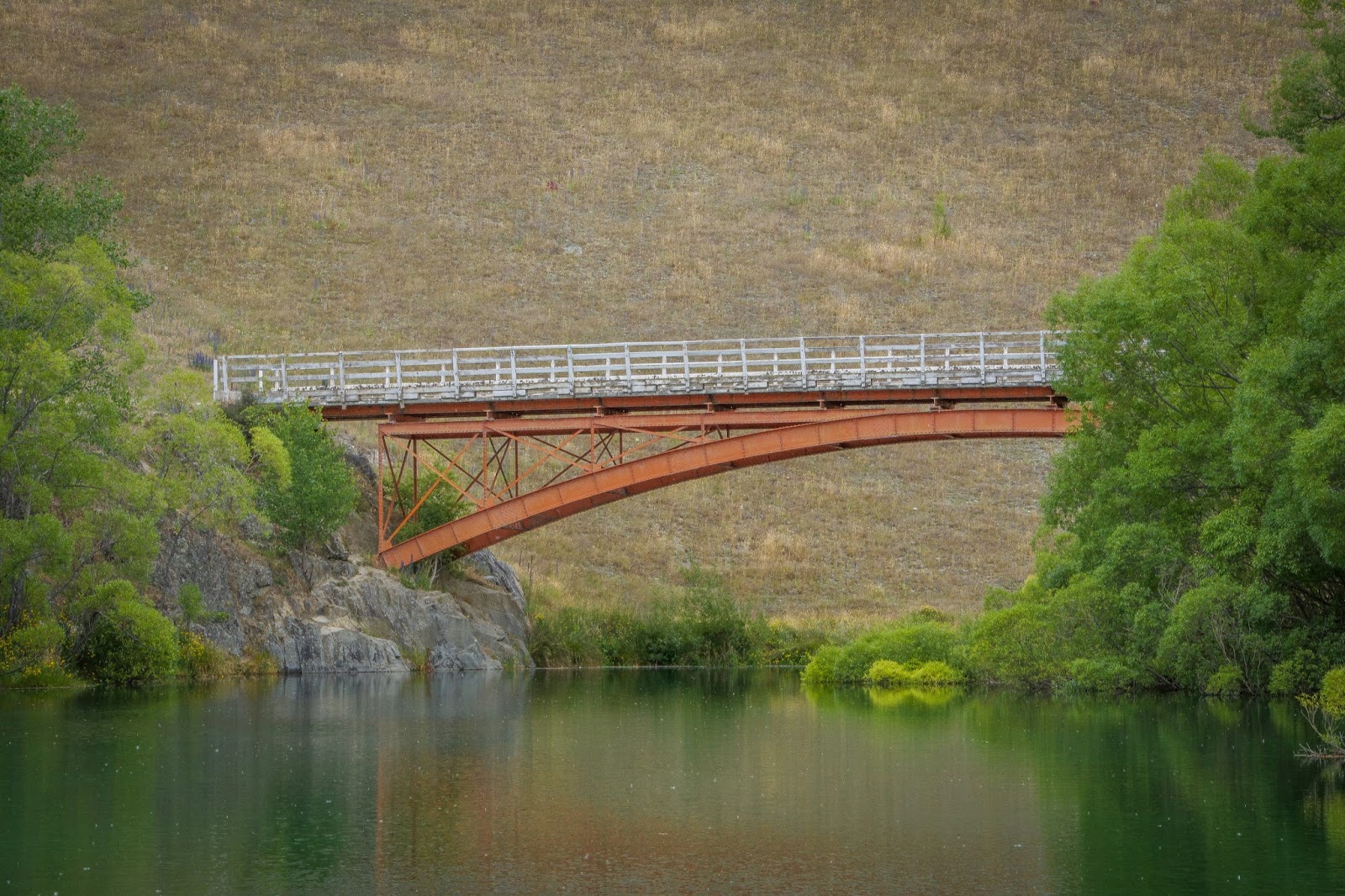 Paws Awhile: Old Iron Bridge - Twizel