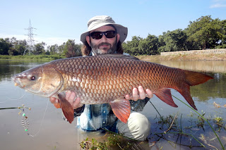 Big Fishes of the World: ROHU (Labeo rohita)